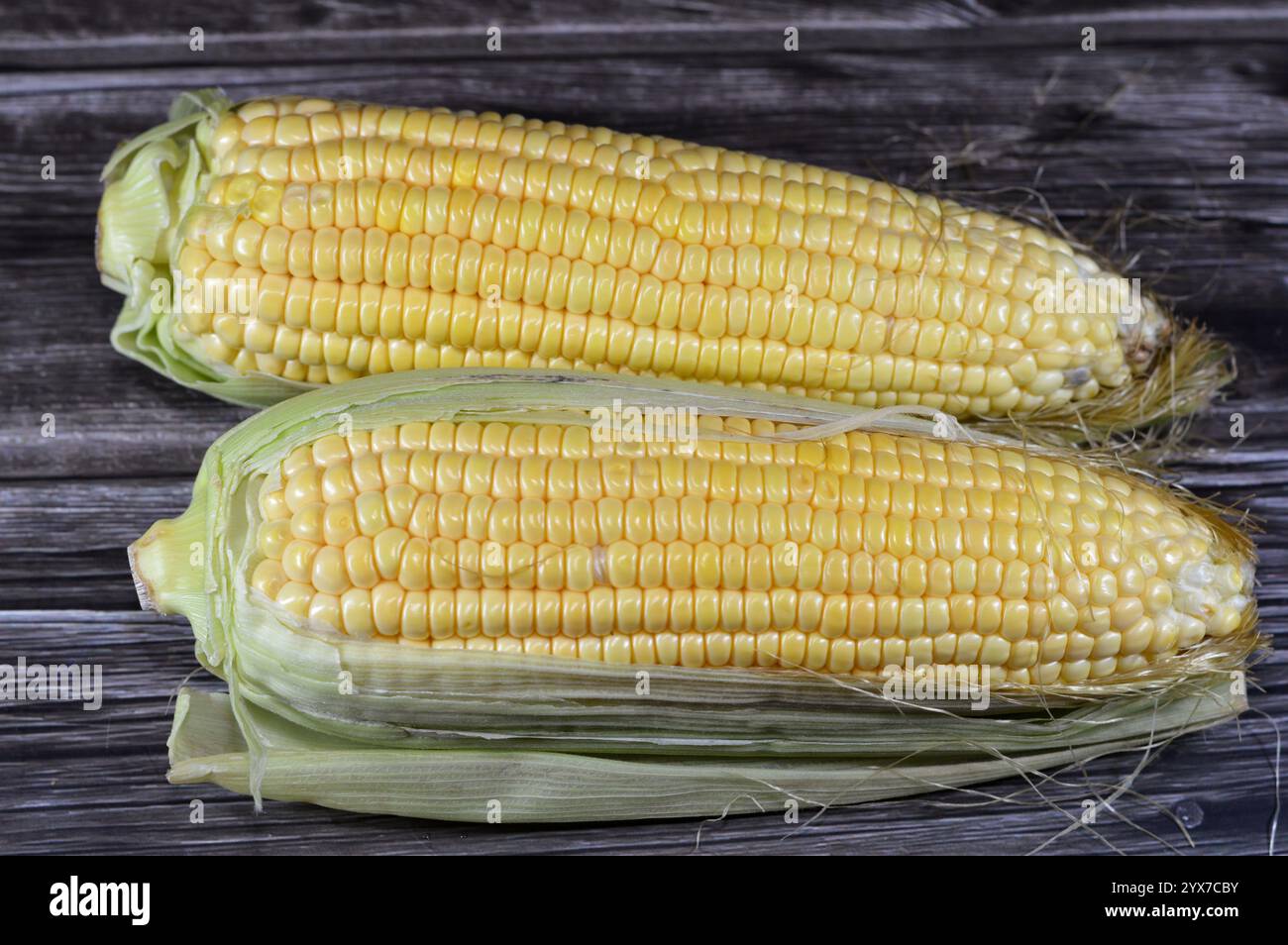 Sweet corn, sweetcorn sugar pole corn is a variety of maize with high ...