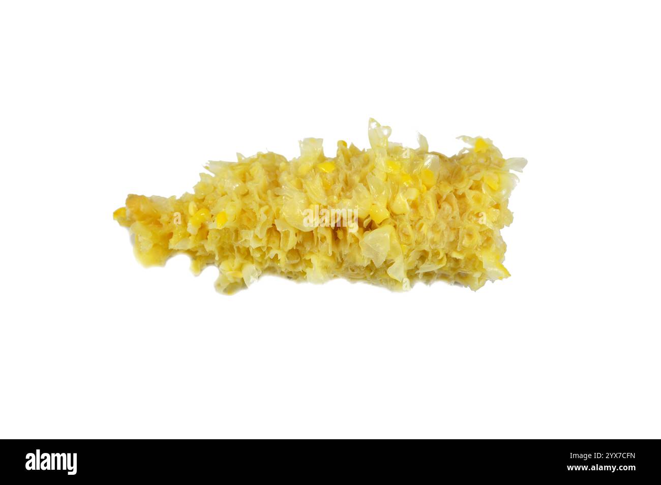 Remnants and debris of boiled sweet corn after being consumed ...