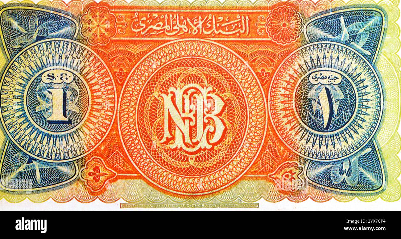 Large fragment of the reverse side of one Egyptian pound Banknote money ...