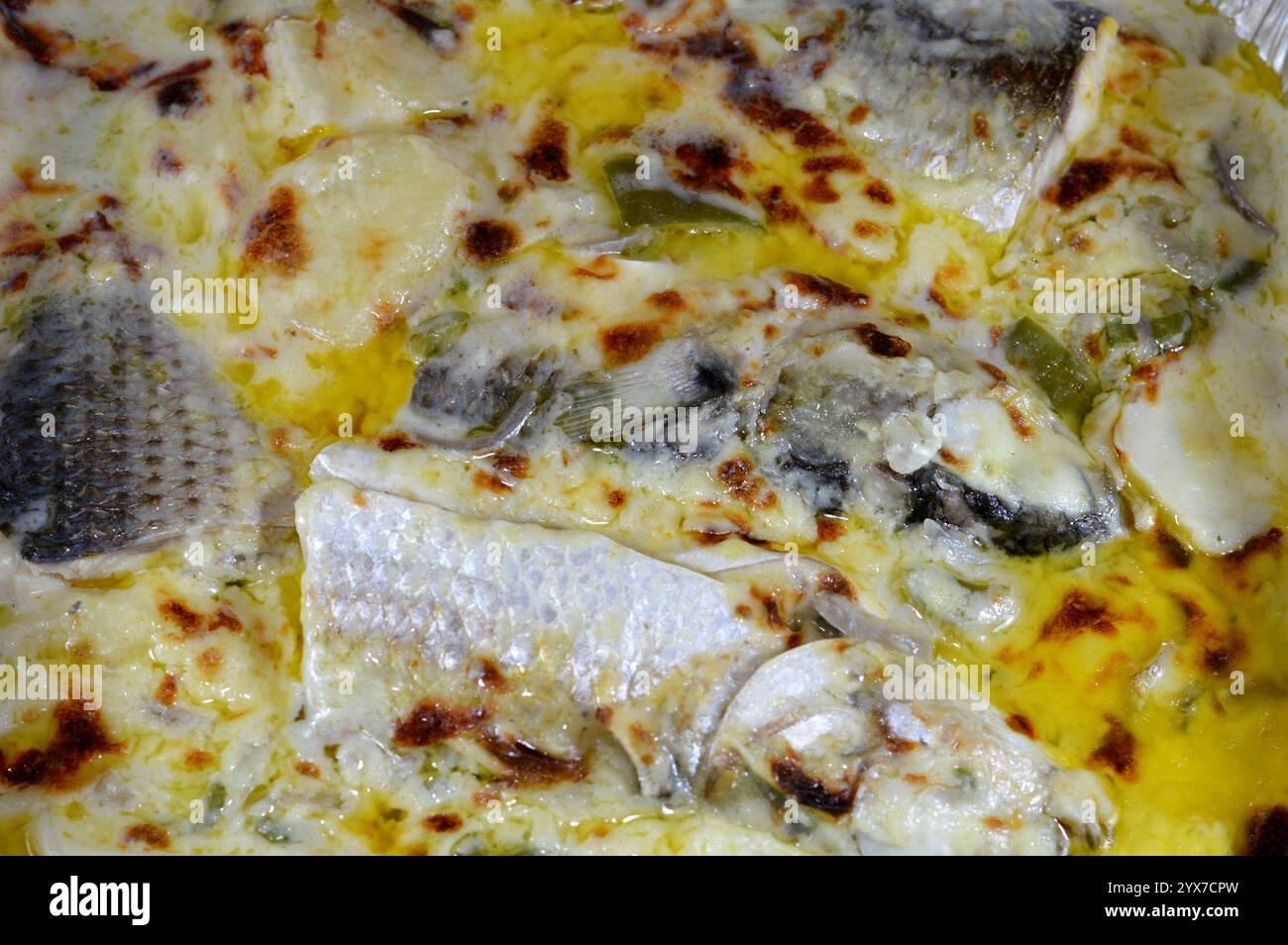 Baked mullet fishes with creamy white sauce, pieces and slices of ...