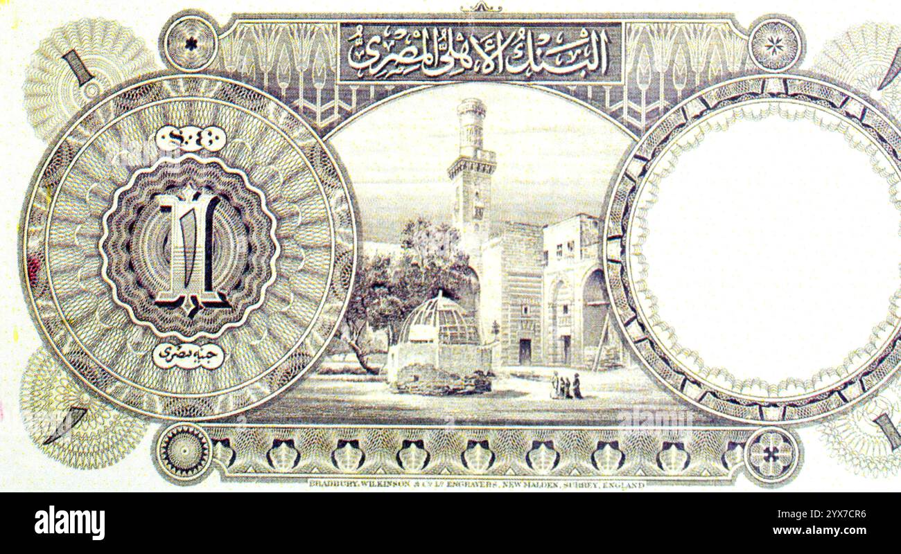 Large fragment of the reverse side of one Egyptian pound Banknote money ...