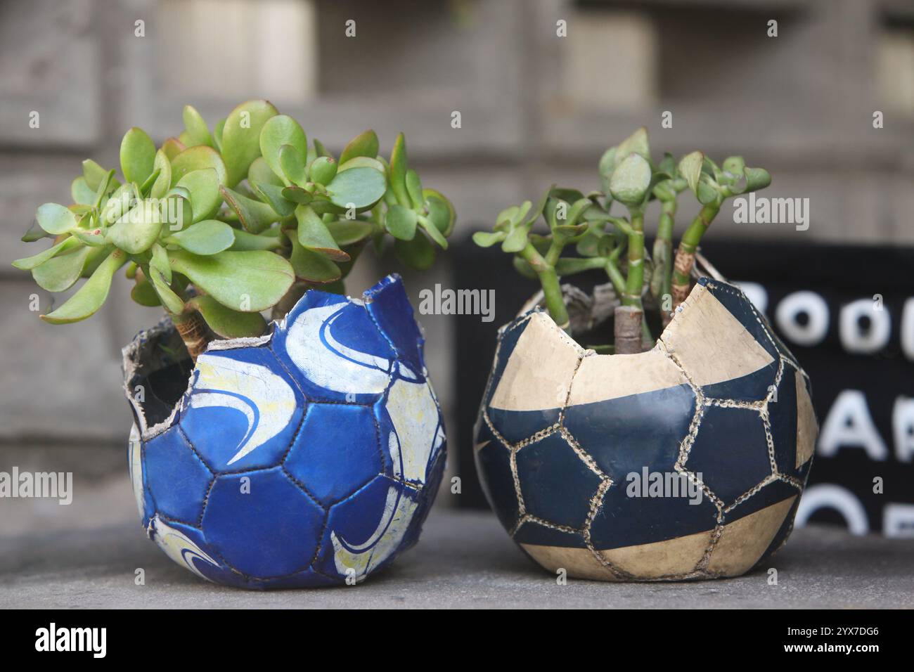 Reused planter ideas. old soccer ball and teapot turn into garden ...