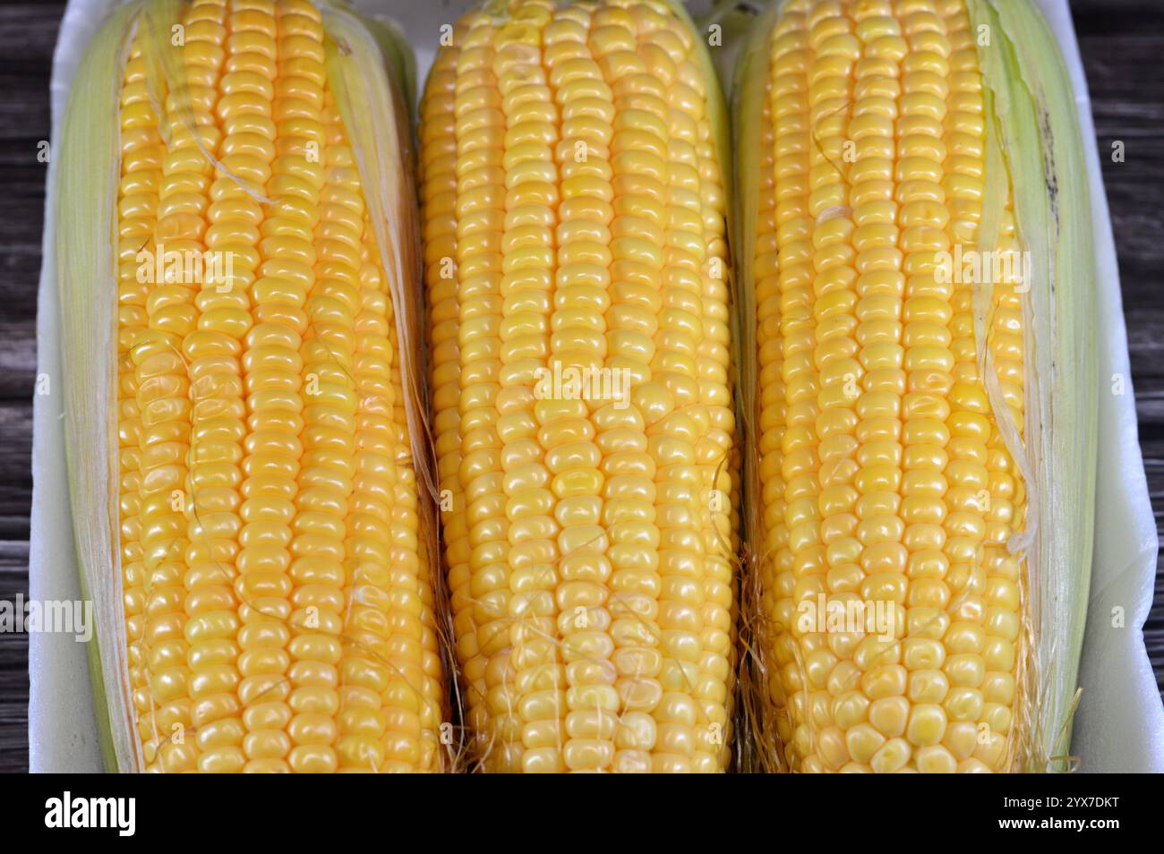 Sweet corn, sweetcorn sugar pole corn is a variety of maize with high ...