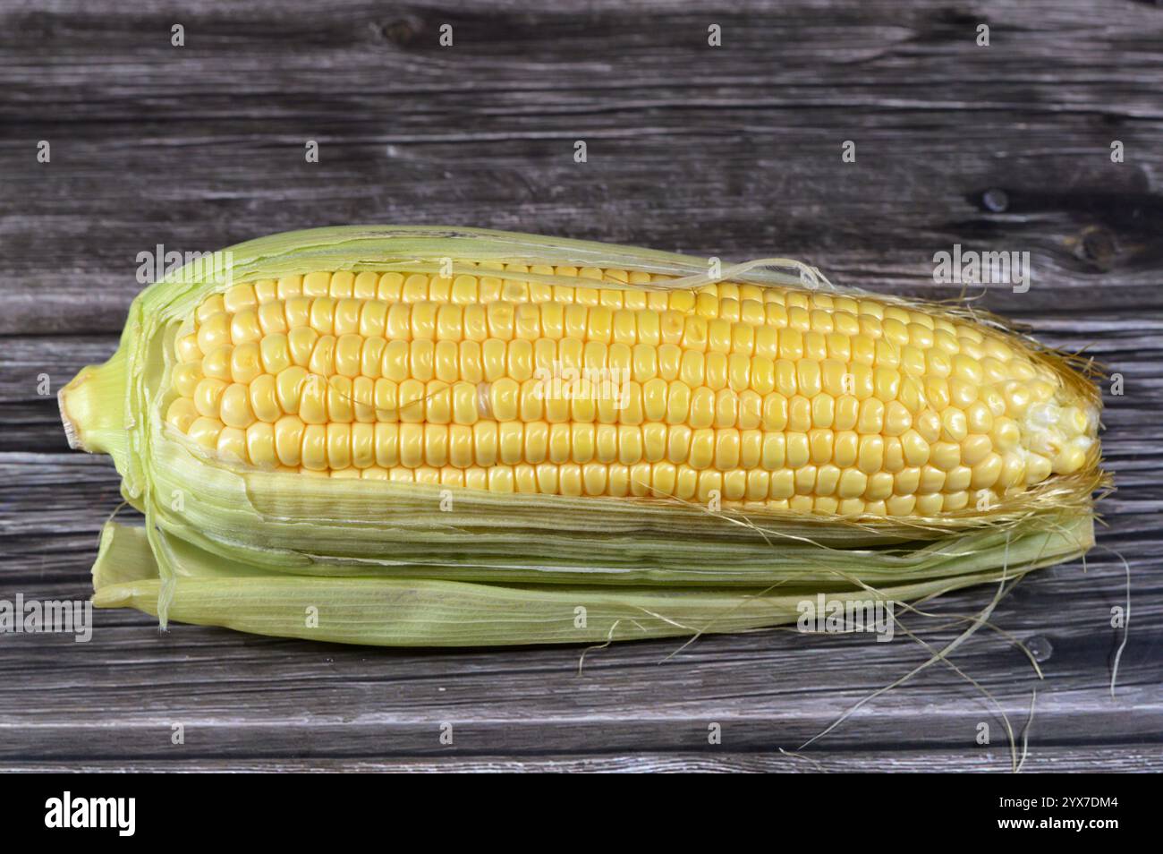 Sweet corn, sweetcorn sugar pole corn is a variety of maize with high ...