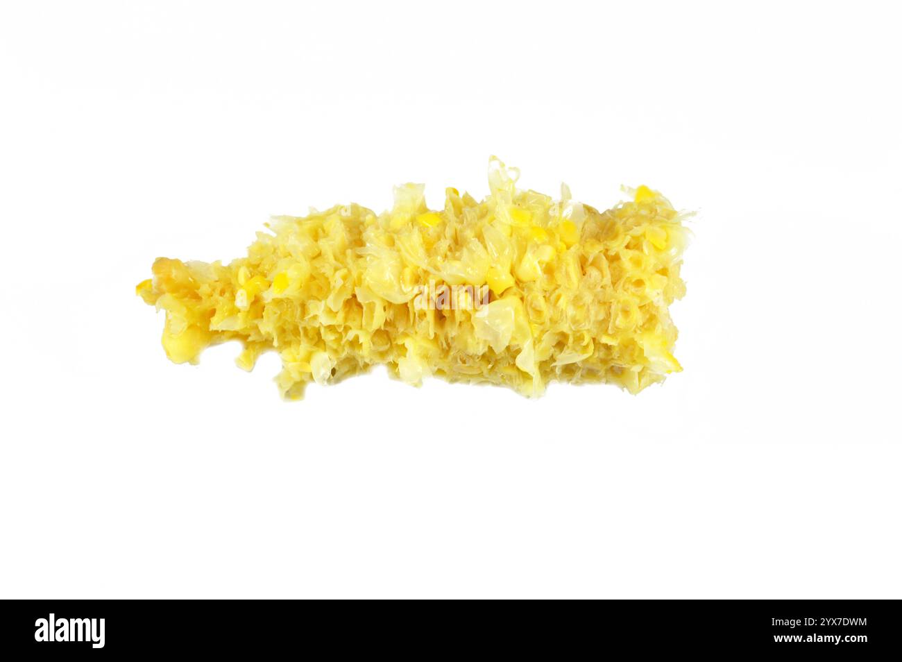 Remnants and debris of boiled sweet corn after being consumed ...