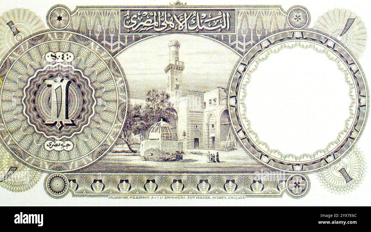 Large fragment of the reverse side of one Egyptian pound Banknote money ...