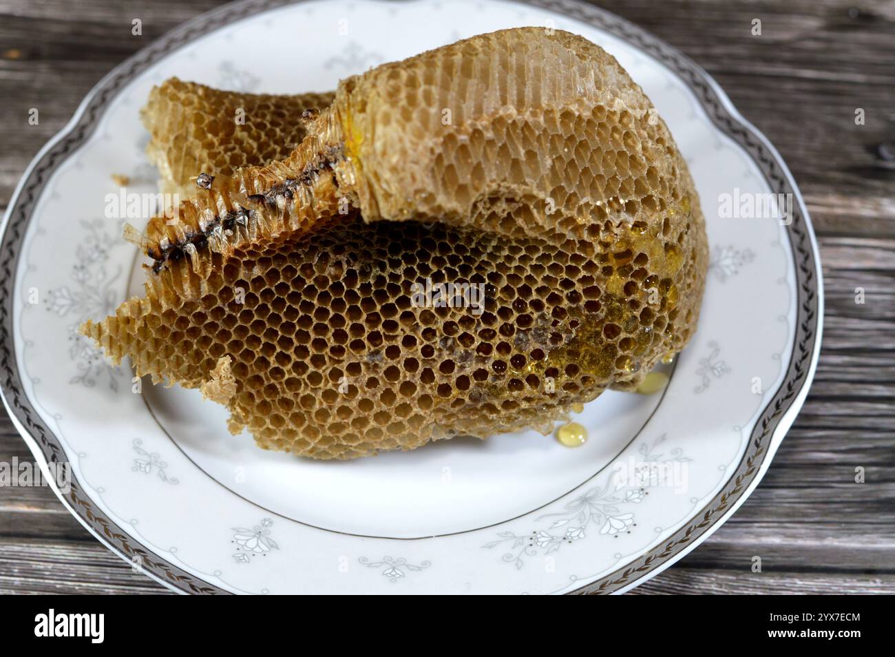 Hexagonal honeycomb cells with honey that hold the queen bee's eggs and ...