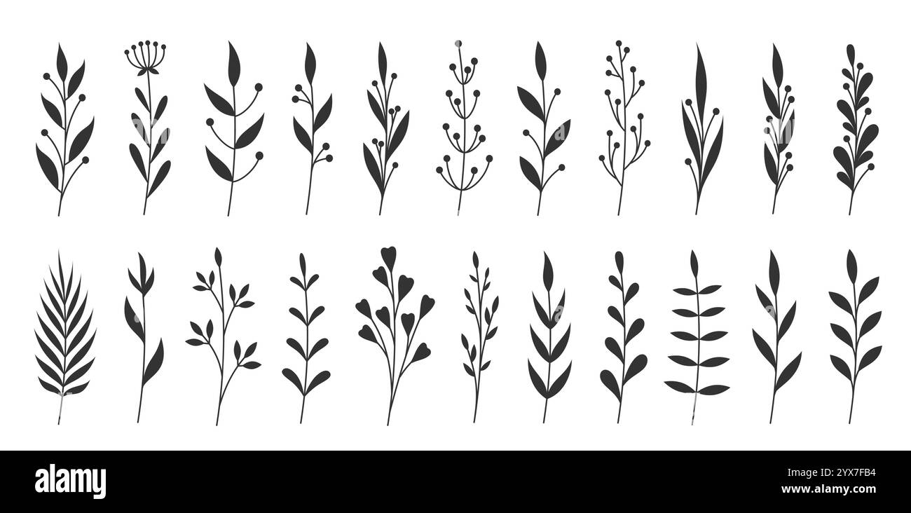 Botanical featuring hand drawn branches leaves floral elements. Variety ...