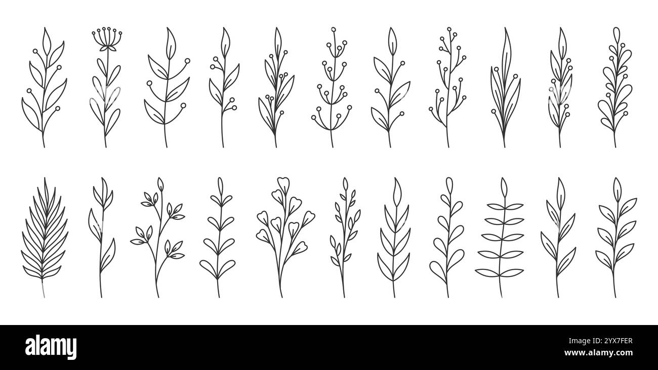 Featuring natural elements Black and White Stock Photos & Images - Alamy