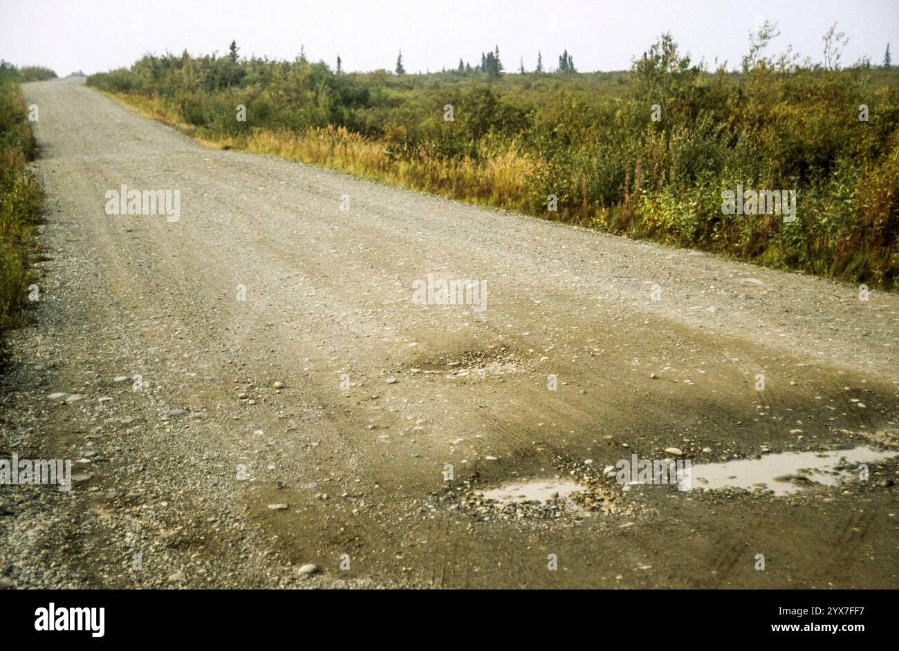 Stampede trail alaska hi-res stock photography and images - Alamy