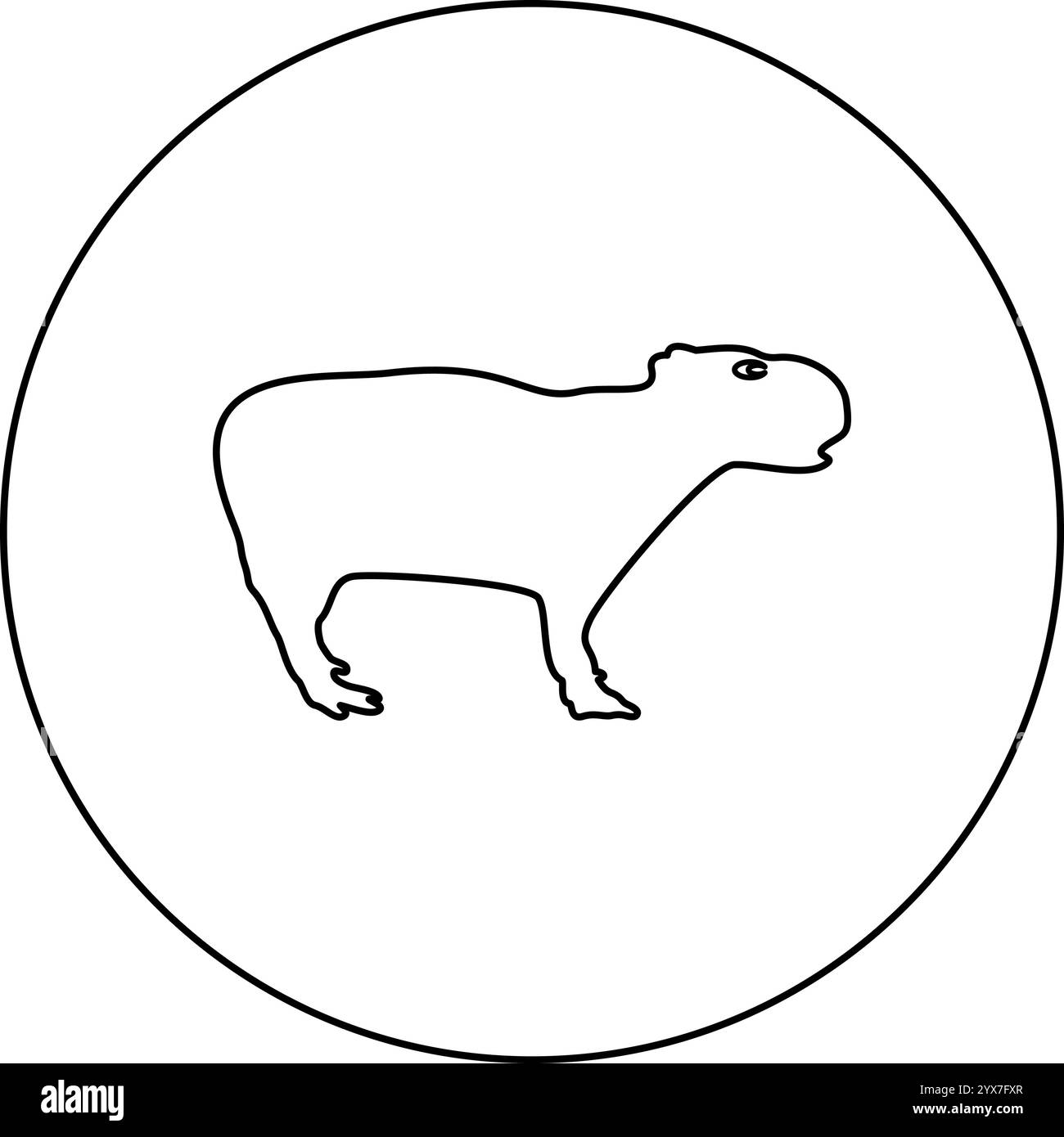 Capybara wild animal Black and White Stock Photos & Images - Alamy