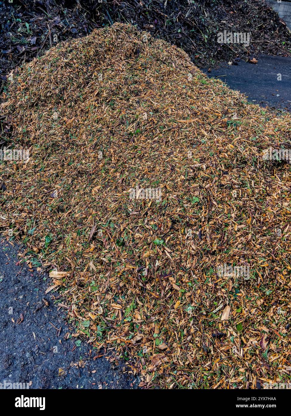 Ecological fertilizer, Chips of pruning remains, ready to use as mulch ...