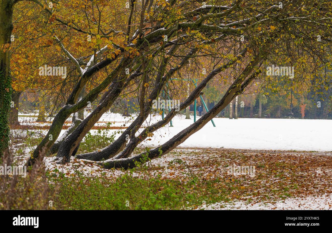 Strong wind plants uk winter hi-res stock photography and images - Alamy