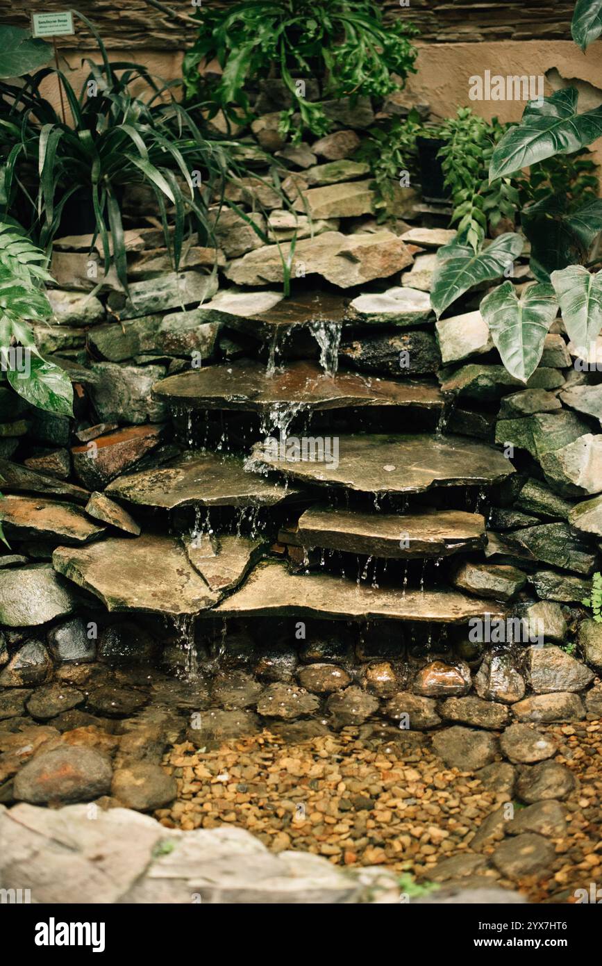 water flows over rocks in a botanical garden Stock Photo - Alamy