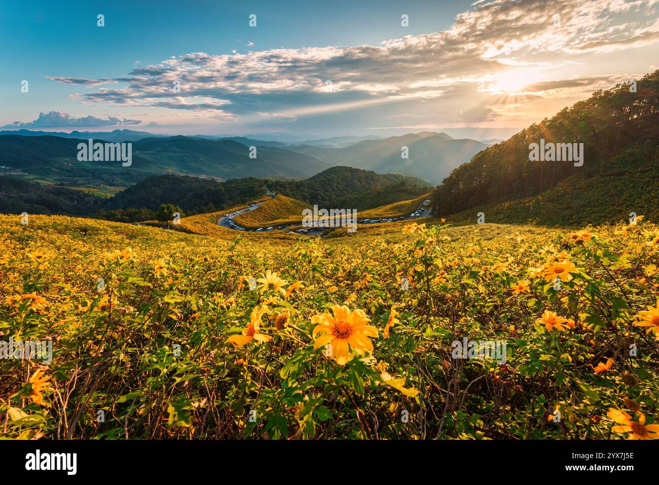 Kho hong mountain viewpoint hi-res stock photography and images - Alamy