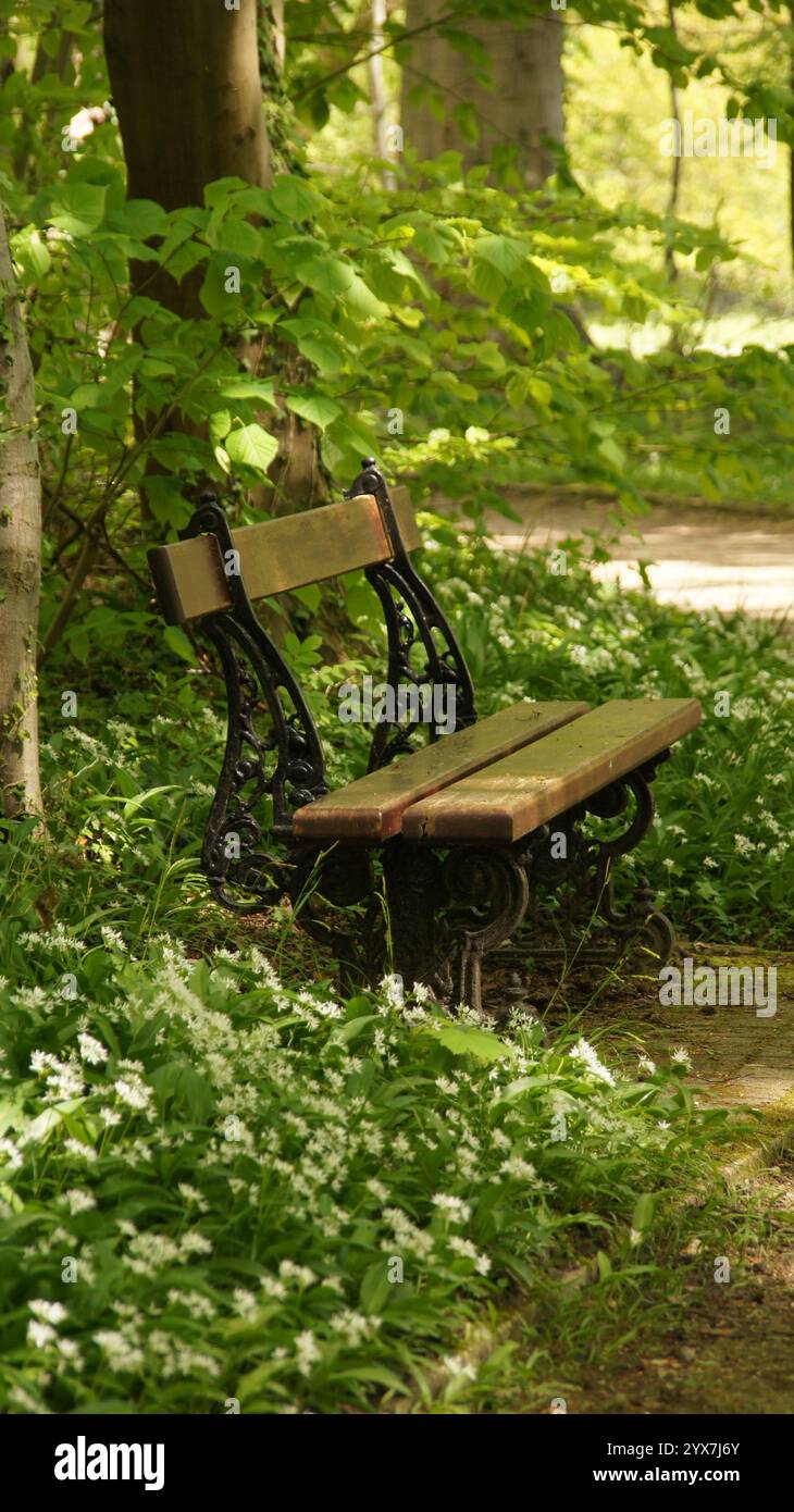 Bench in nature hi-res stock photography and images - Alamy
