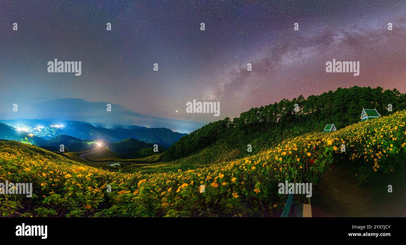 Panorama view of Milky way with starry over Tree Marigold field on hill ...