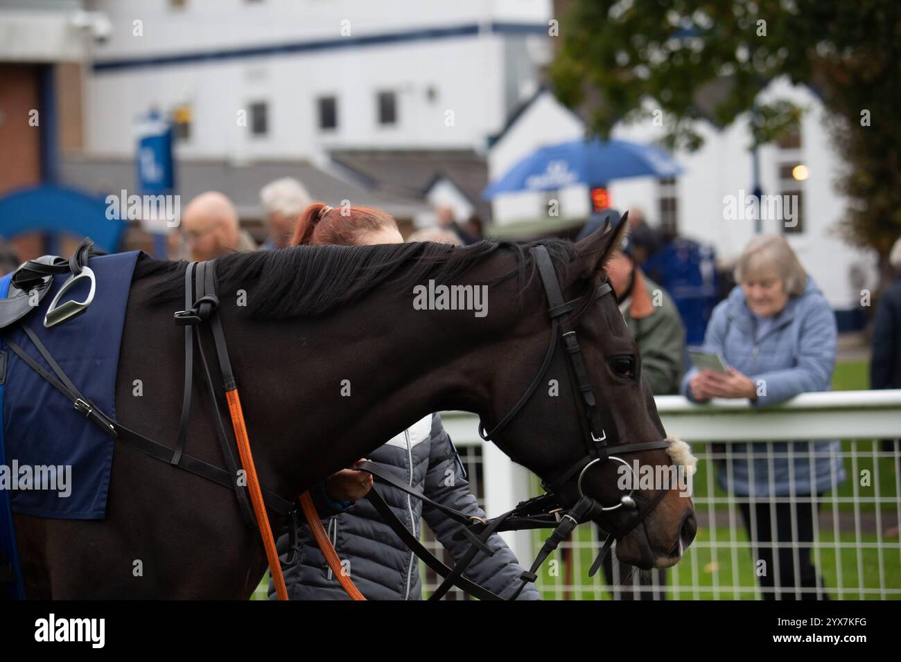 Windsor, Berkshire, UK. 14th October, 2024. Horses in the Pre Parade ...