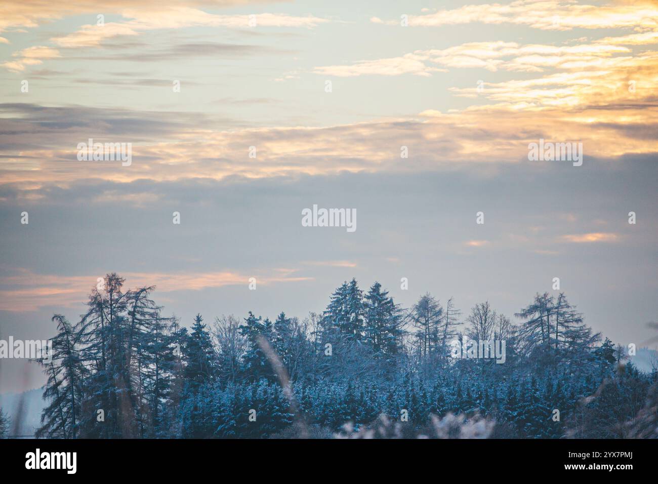 Winter Wonderland, landscape covered in snow in the Waldviertel ...