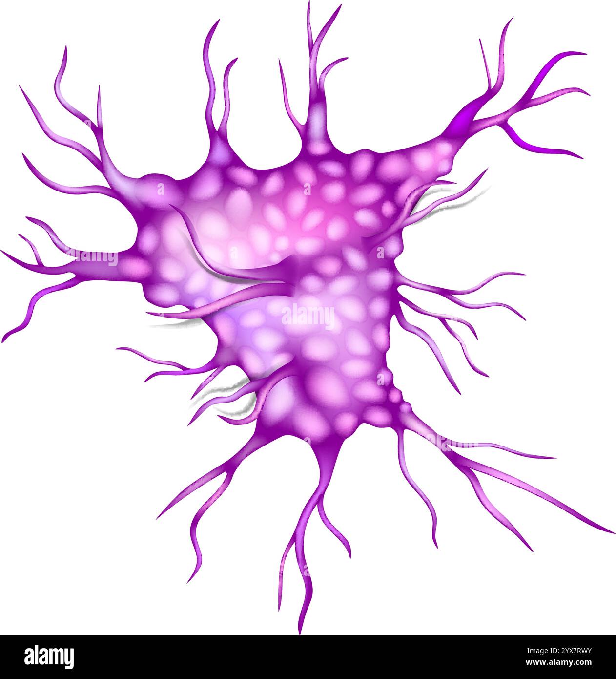 Dendritic cell or DC is an antigen-presenting cell. Immune system Stock ...