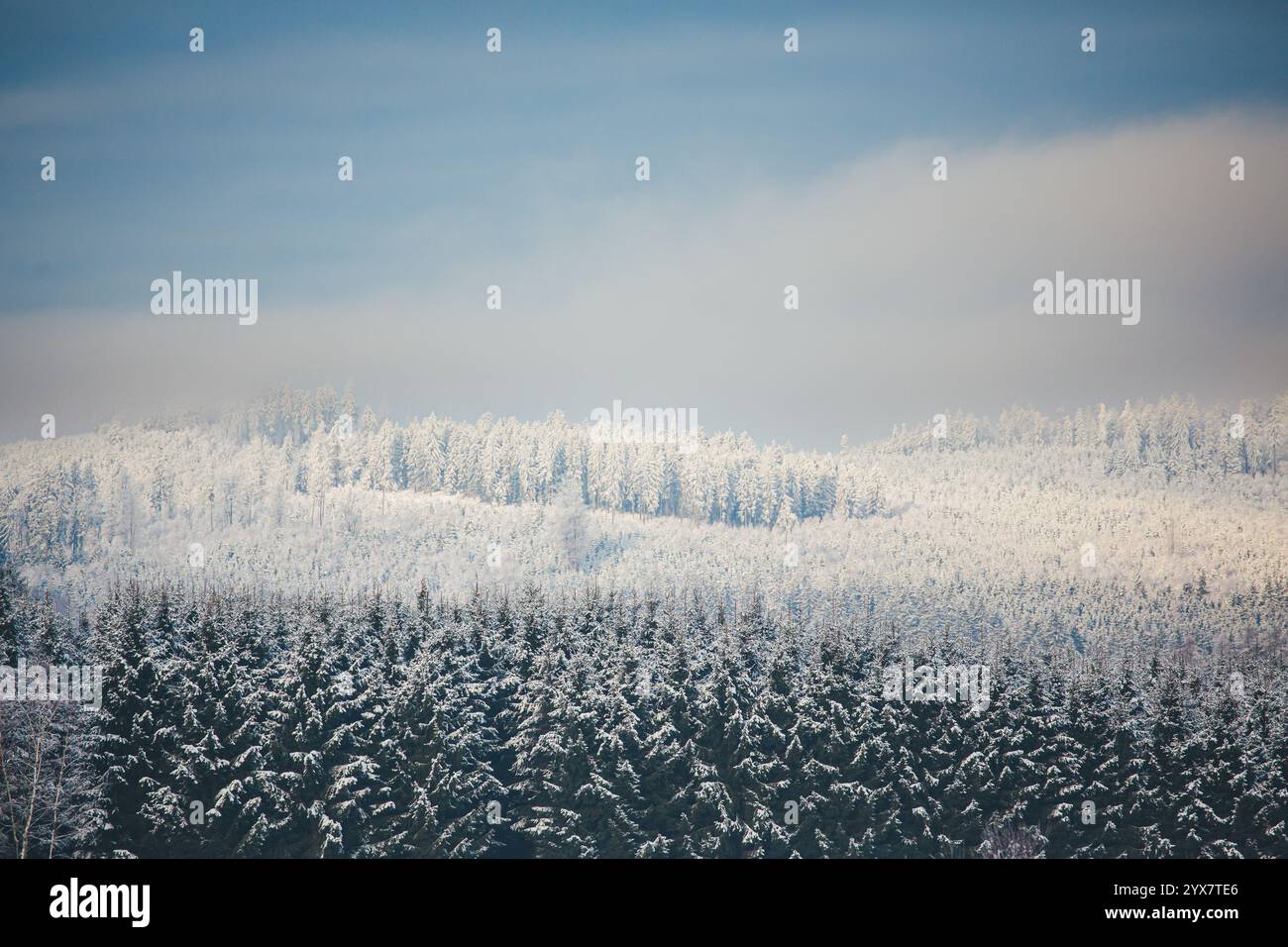 Winter Wonderland, landscape covered in snow in the Waldviertel ...