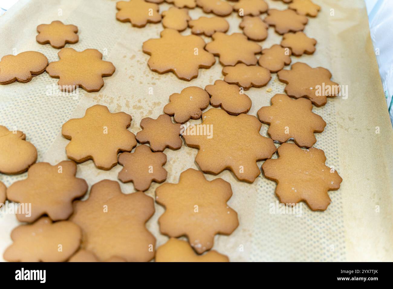 Snowflake-shaped cookies are ready to be decorated with frosting on ...