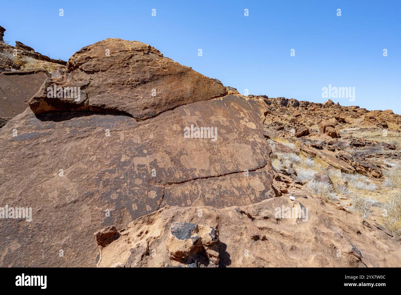 Depictions of animals on a rock slab, petroglyphs, rock engravings ...