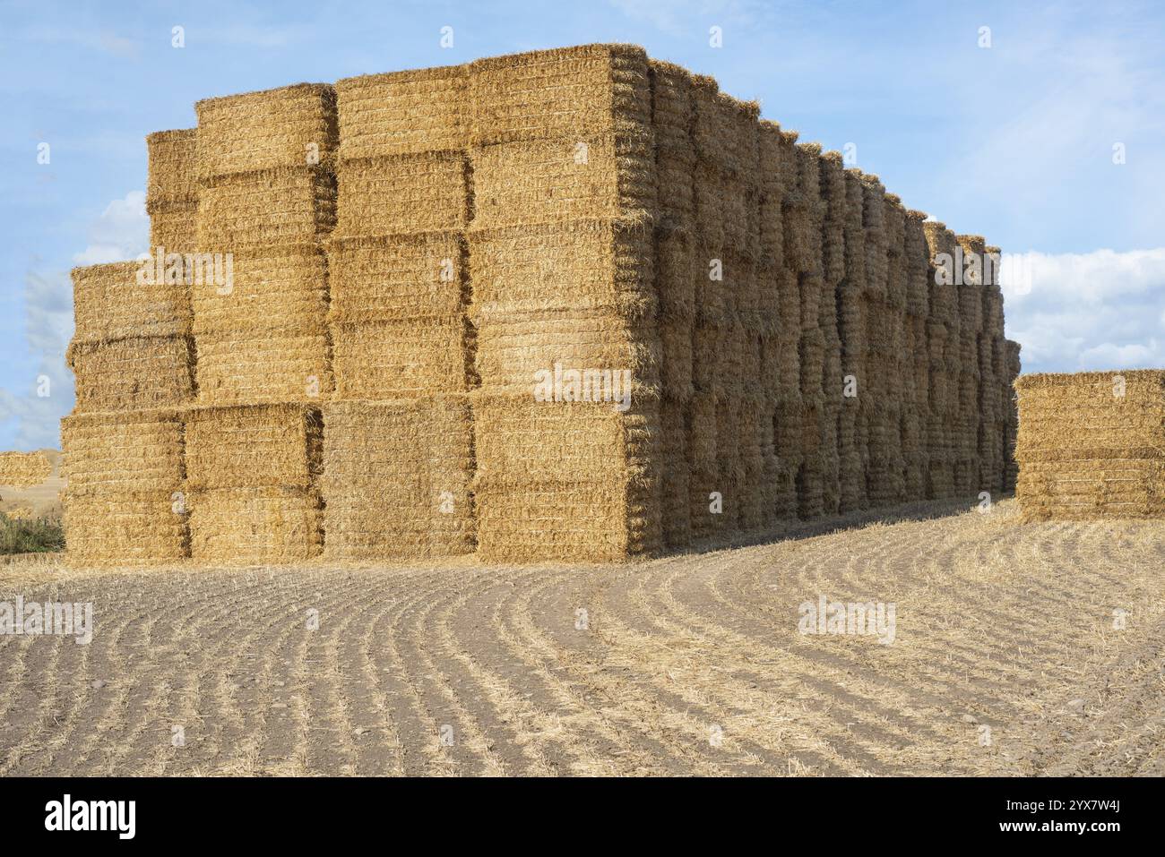 Straw bales rectangular hi-res stock photography and images - Alamy