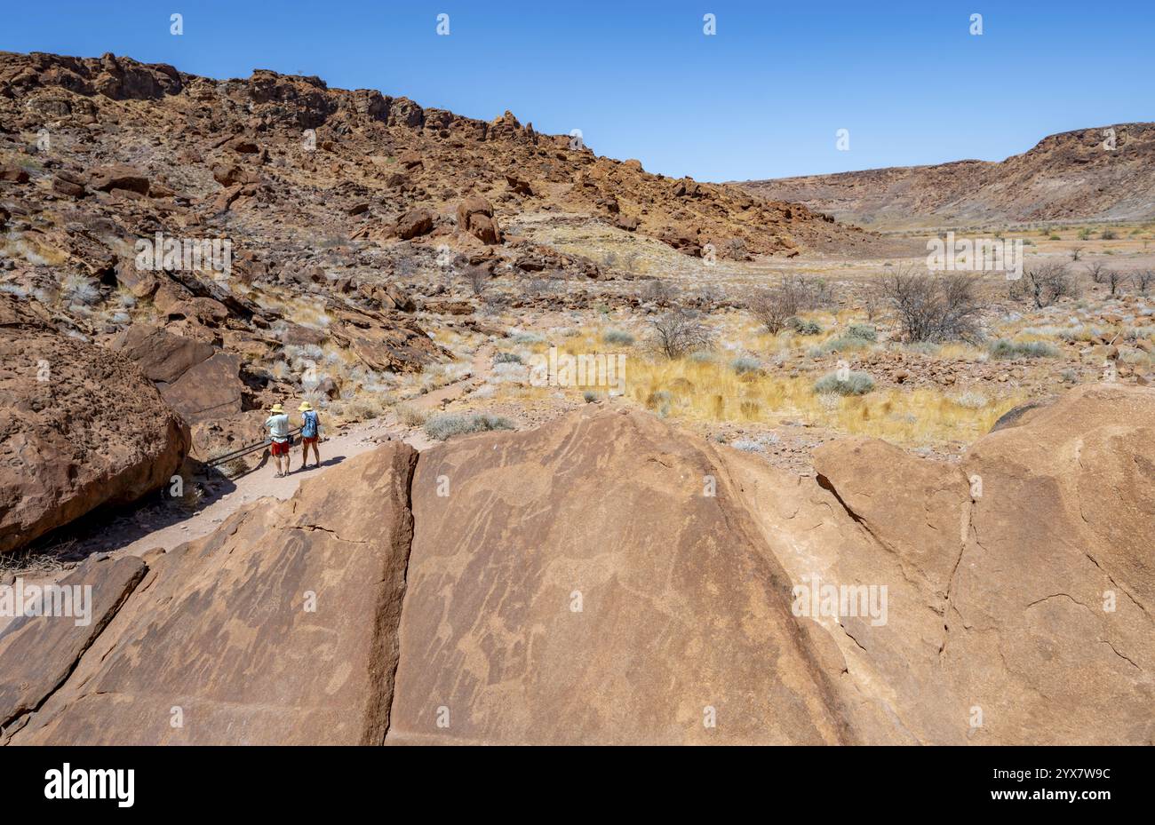 Depictions of animals on a rock slab, petroglyphs, rock engravings ...