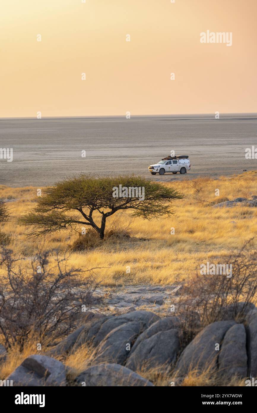 Off-road vehicle on a salt pan, at sunrise, acacia and rocks, Kubu ...