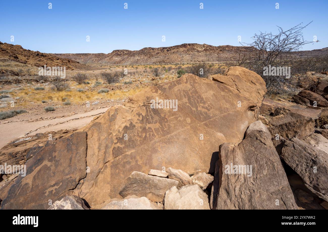 Depictions of animals on a rock slab, petroglyphs, rock engravings ...