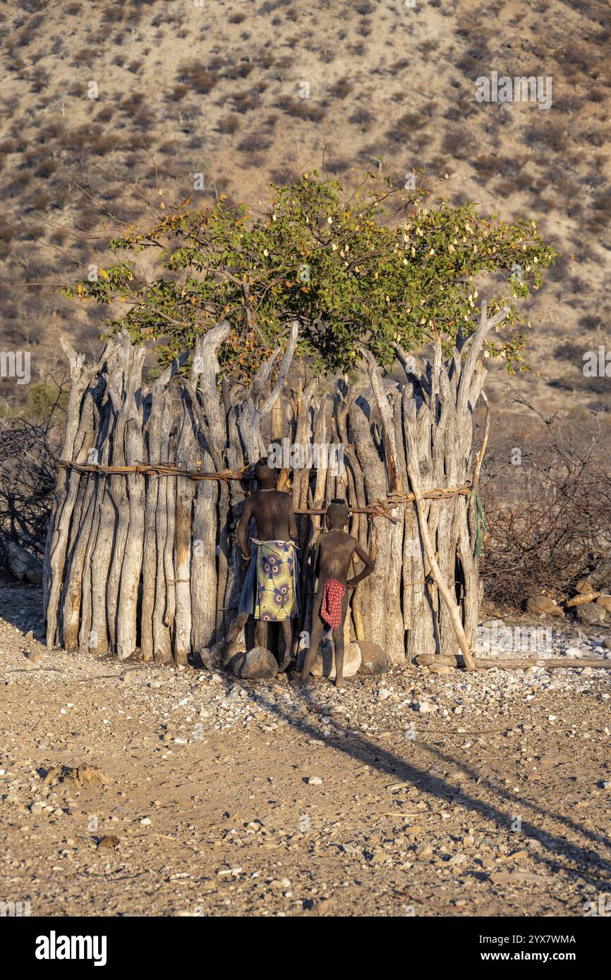 Himba children at a kraal, goats, fenced young animals in a kraal ...
