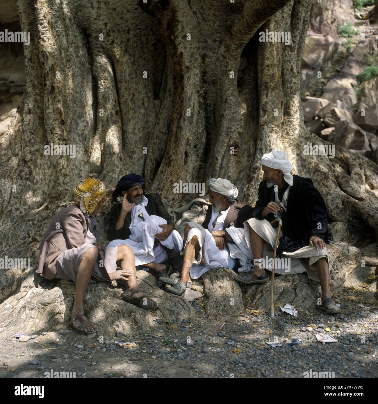 Guy sitting under tree hi-res stock photography and images - Alamy