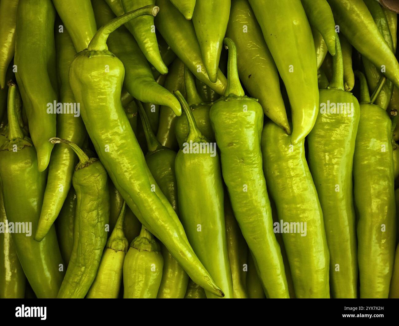 Top view of green chili peppers Stock Photo - Alamy