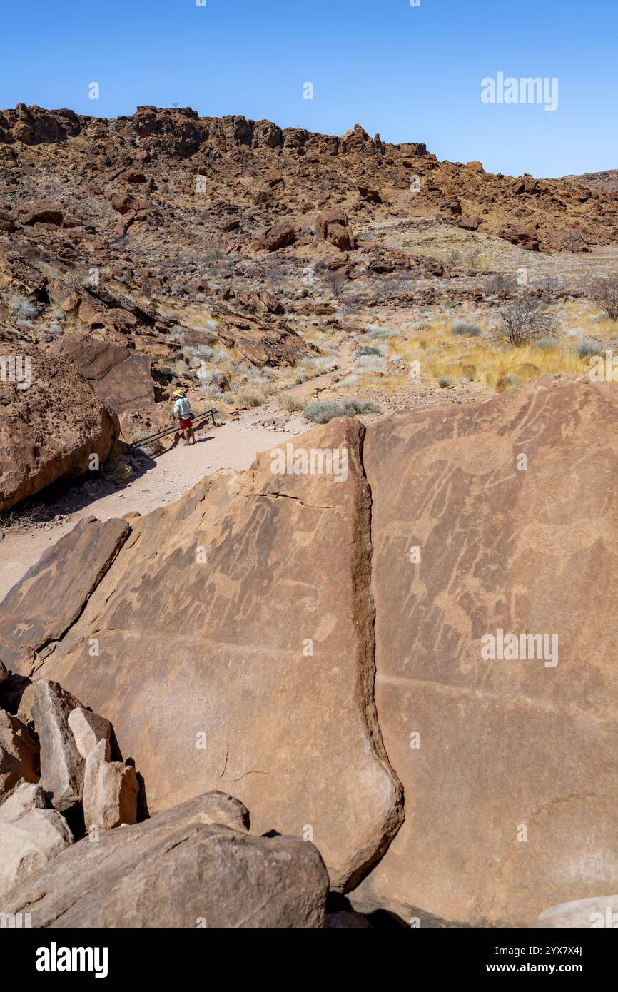 Depictions of animals on a rock slab, petroglyphs, rock engravings ...