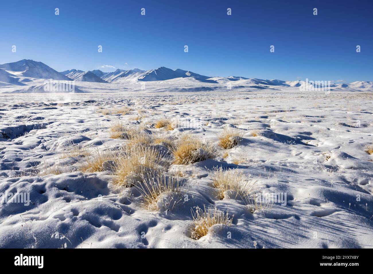 Winter landscape of the Pamir Plateau, Pamir Highway, Alichur, Gorno ...