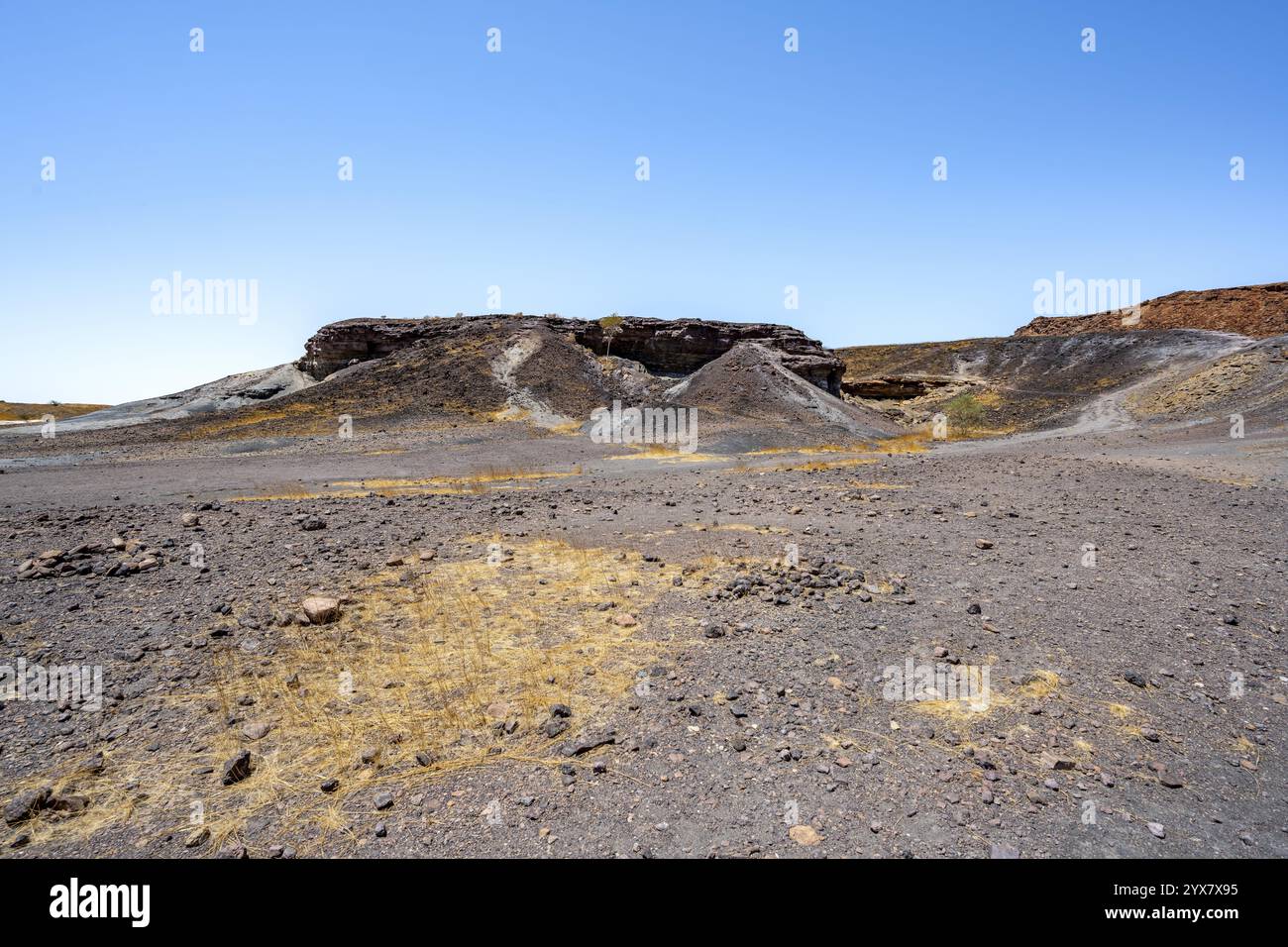Dry landscape with yellow grass and black volcanic hills, Burnt ...