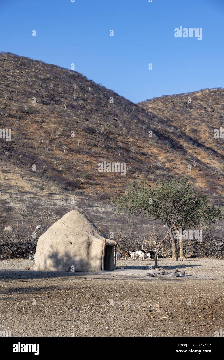Mud hut in a traditional Himba village, Kaokoveld, Kunene, Namibia ...