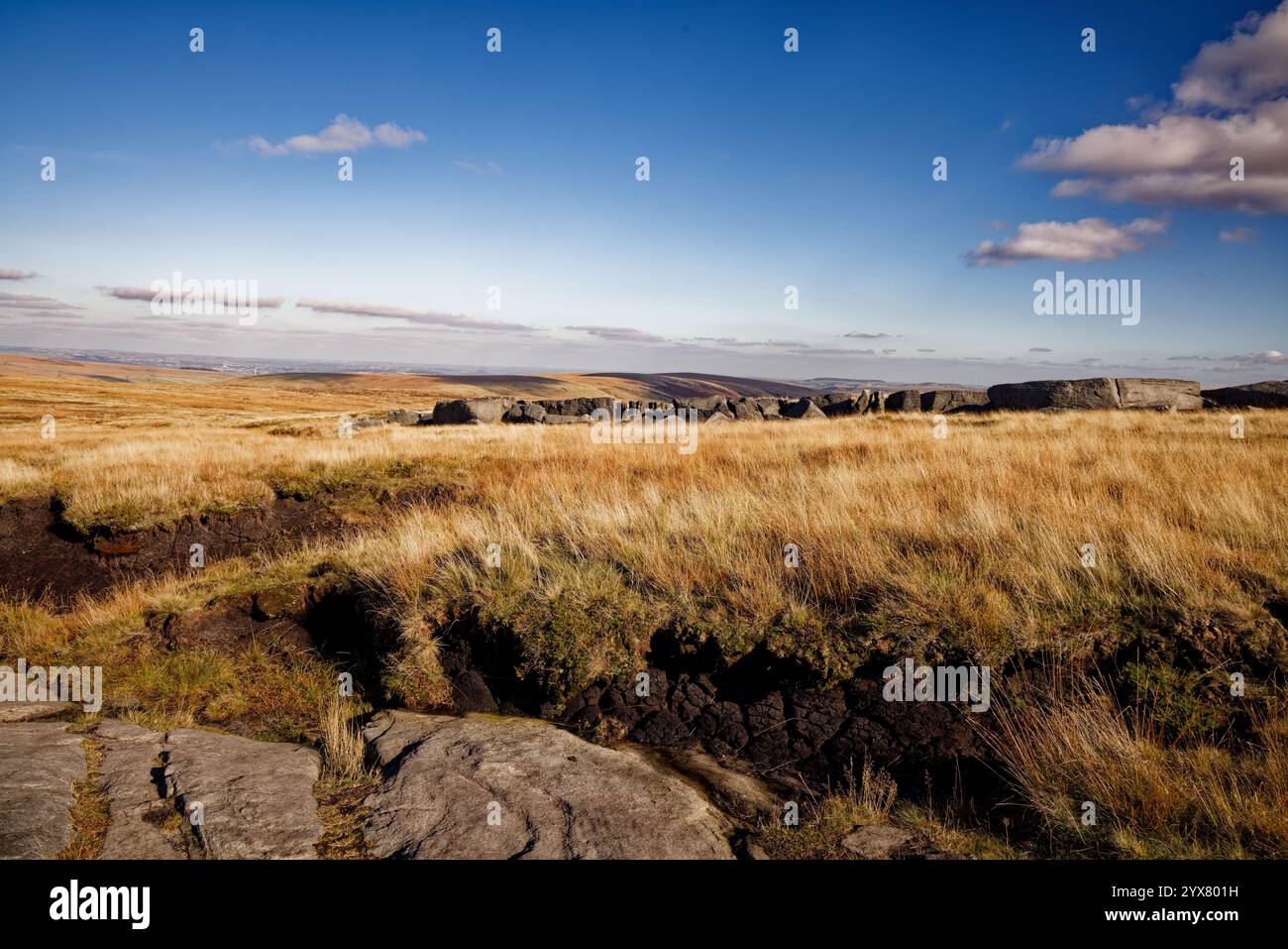 Gritstone boulders litter the upland pasture at Blackstone Edge ...