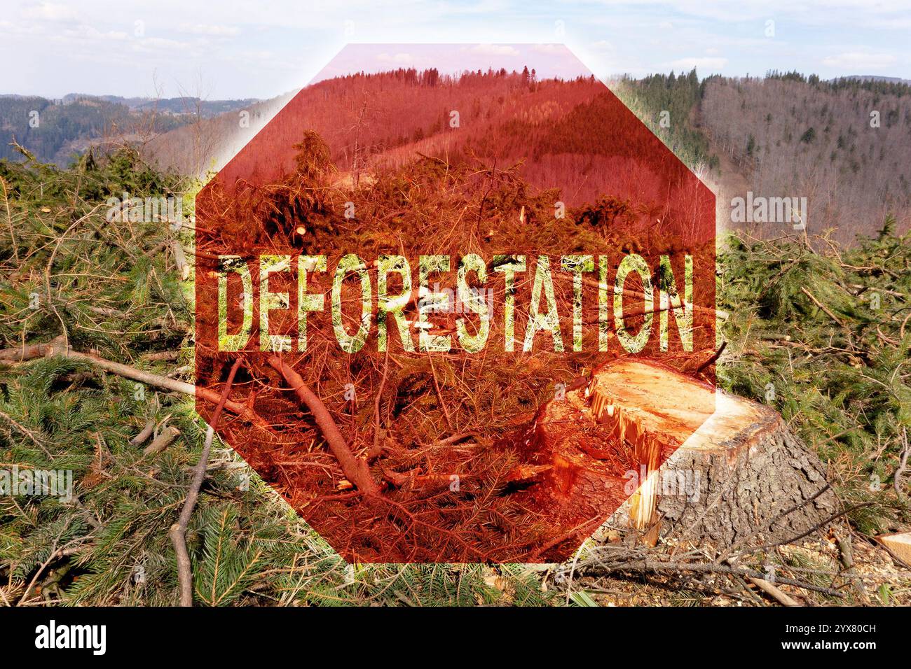 Stop deforestation sign above damaged remains of forest after extensive ...