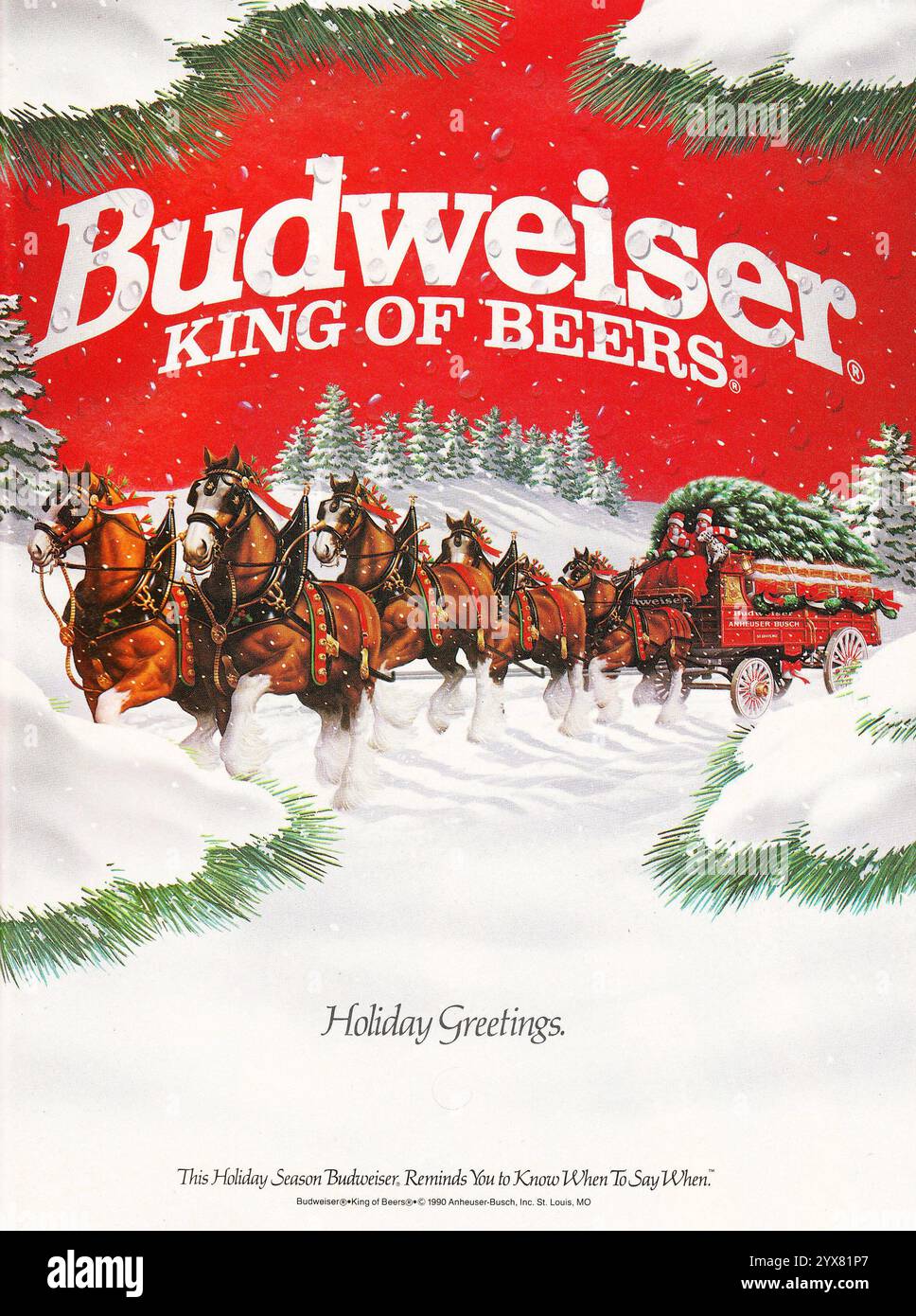 Budweiser clydesdale horses hi-res stock photography and images - Alamy