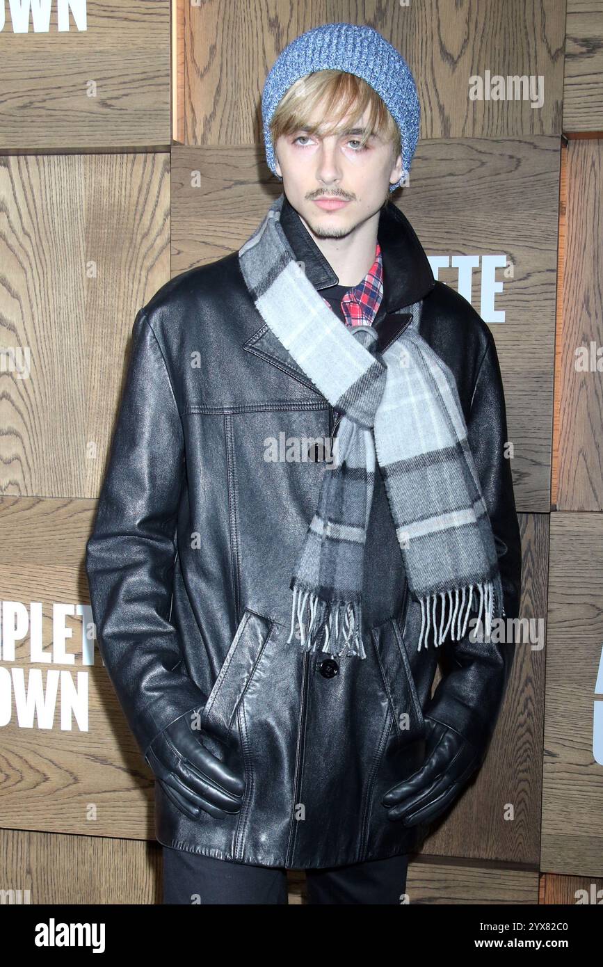 New York, NY, USA. 13th Dec, 2024. Timoth e Chalamet at the New York ...