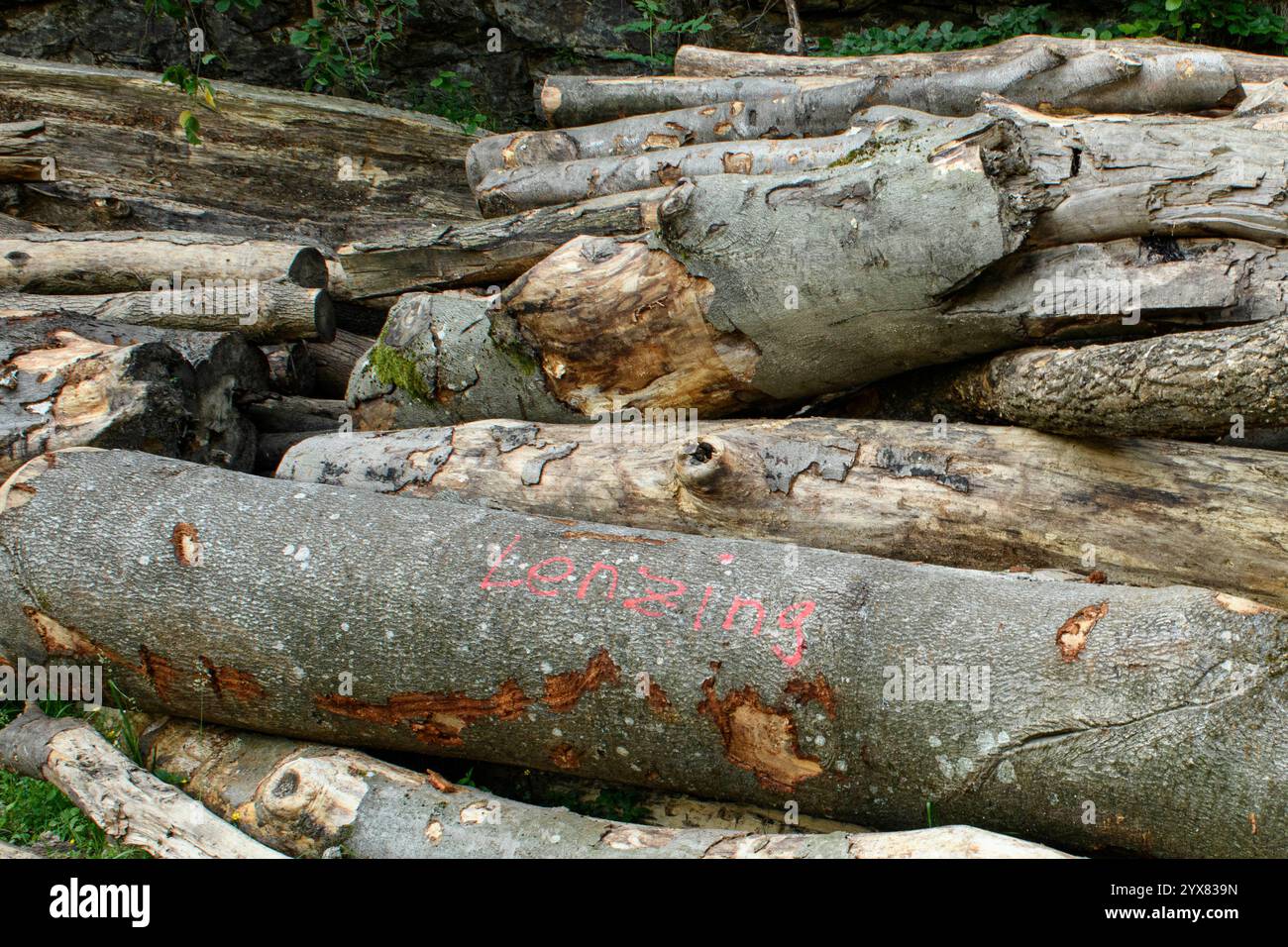 Natura 2000 site Kamptal / Austria - The old growth forests in middle ...