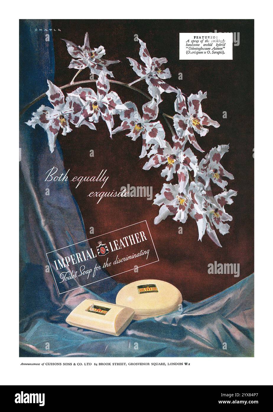 1948 British Cussons Imperial Leather soap ad Stock Photo - Alamy