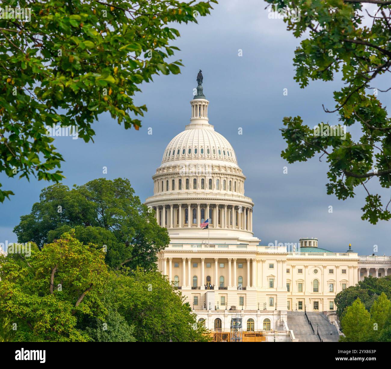 Us capitol green leaves hi-res stock photography and images - Alamy