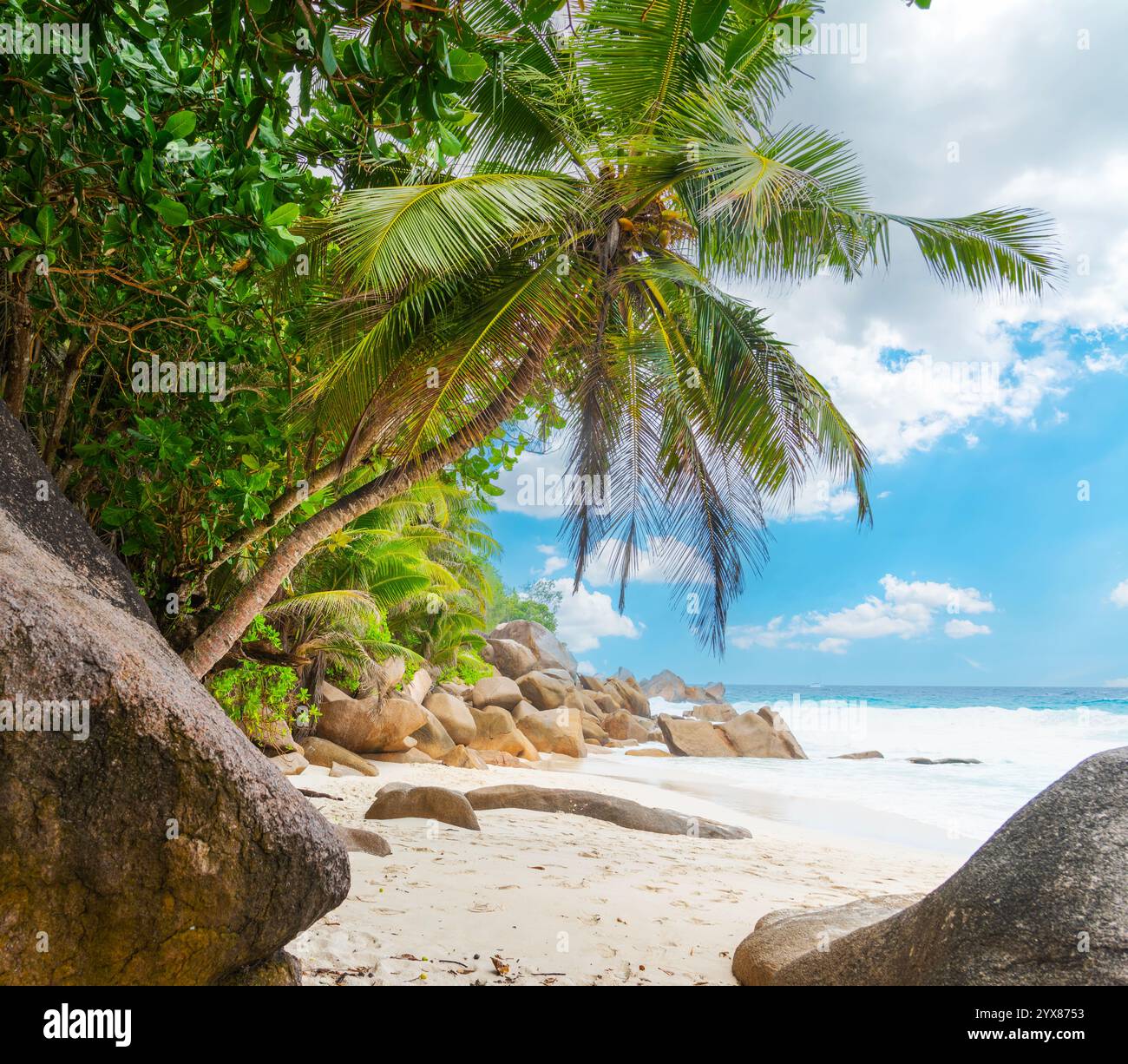 Granite rock palm trees seychelles hi-res stock photography and images ...