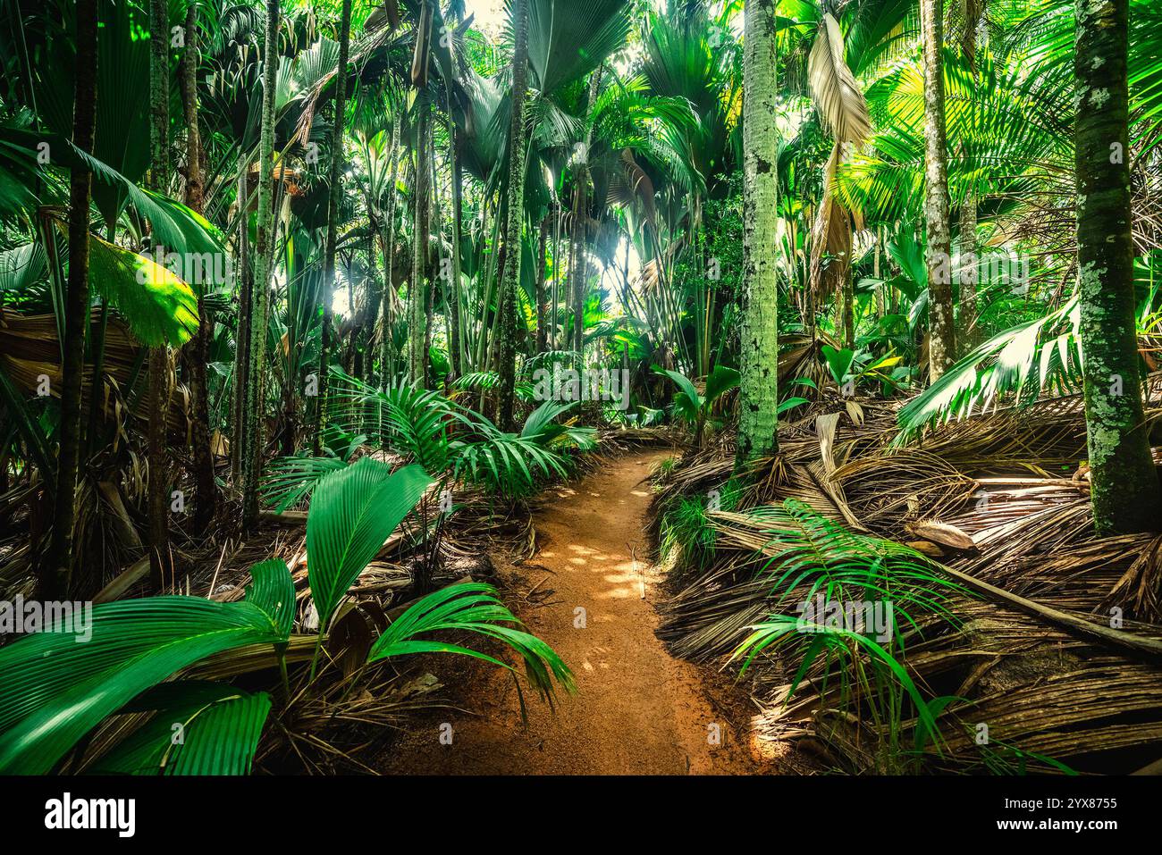 Lush foliage surrounds hi-res stock photography and images - Alamy