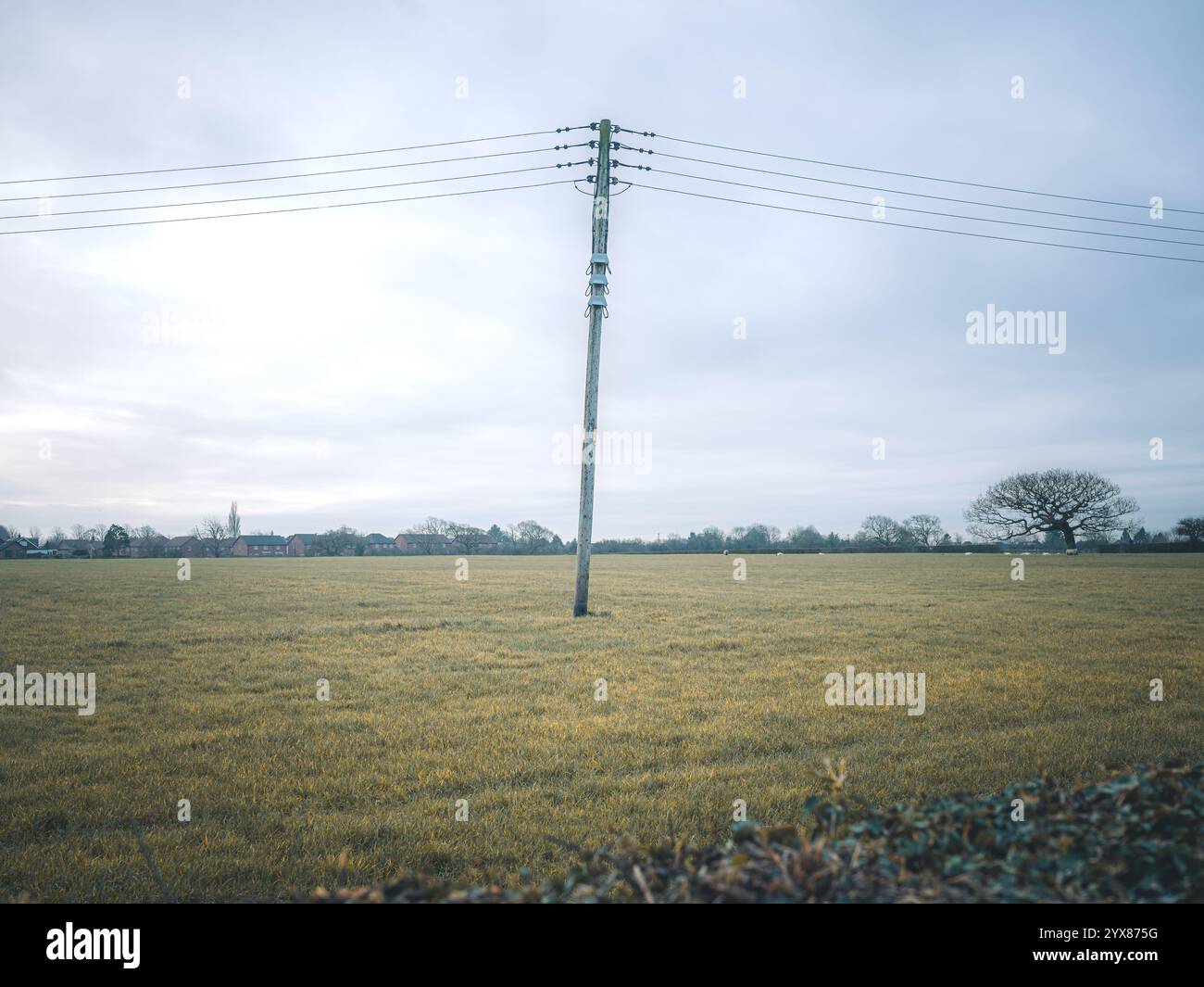 Leaning power pole hi-res stock photography and images - Alamy