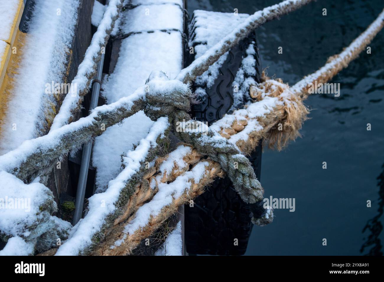 Fresh snow during a snowfall day. Knots of the ropes and a tire.. Calm ...