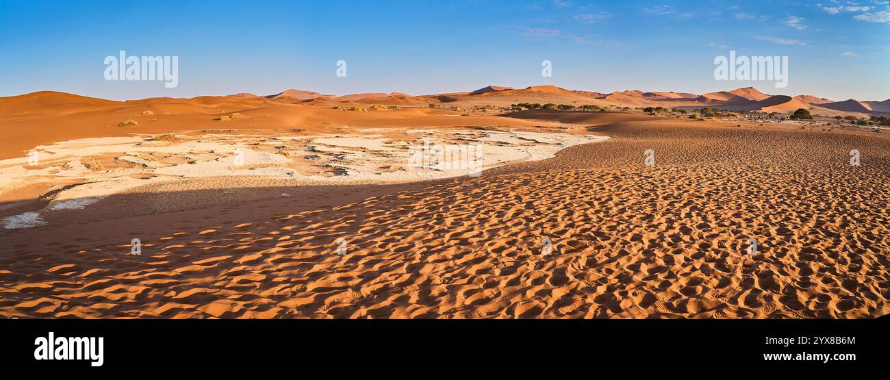 A panoramic high-resolution view of dunes in Sossusvlei with lots of ...
